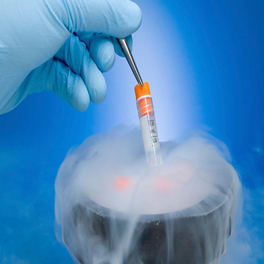 Vitrification Training Program 2022